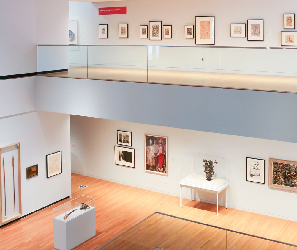 Jan and David Brandon Family Bridge – University of Michigan Museum of Art