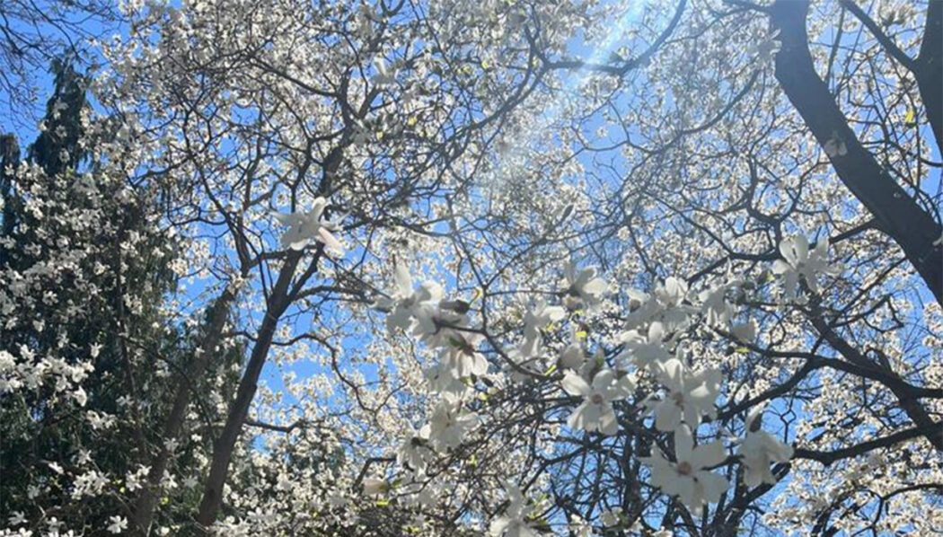 University Students – University of Michigan Museum of Art